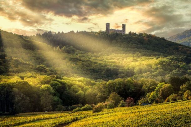 Les sites incontournables qui subliment un séjour en Alsace